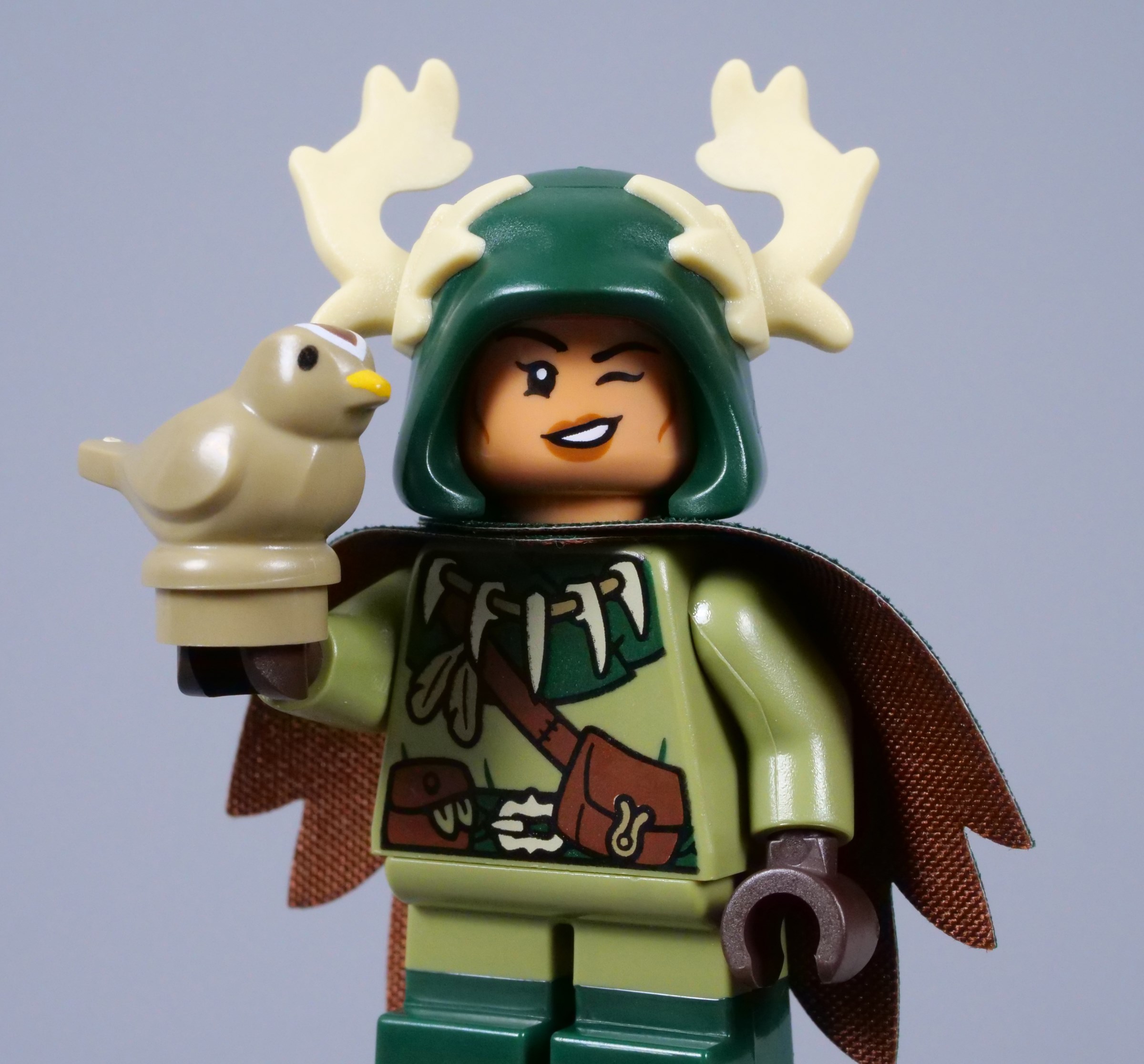 LEGO Collectable Minifigures 71047 Dungeons & Dragons Collectable Minifigures review | Brickset